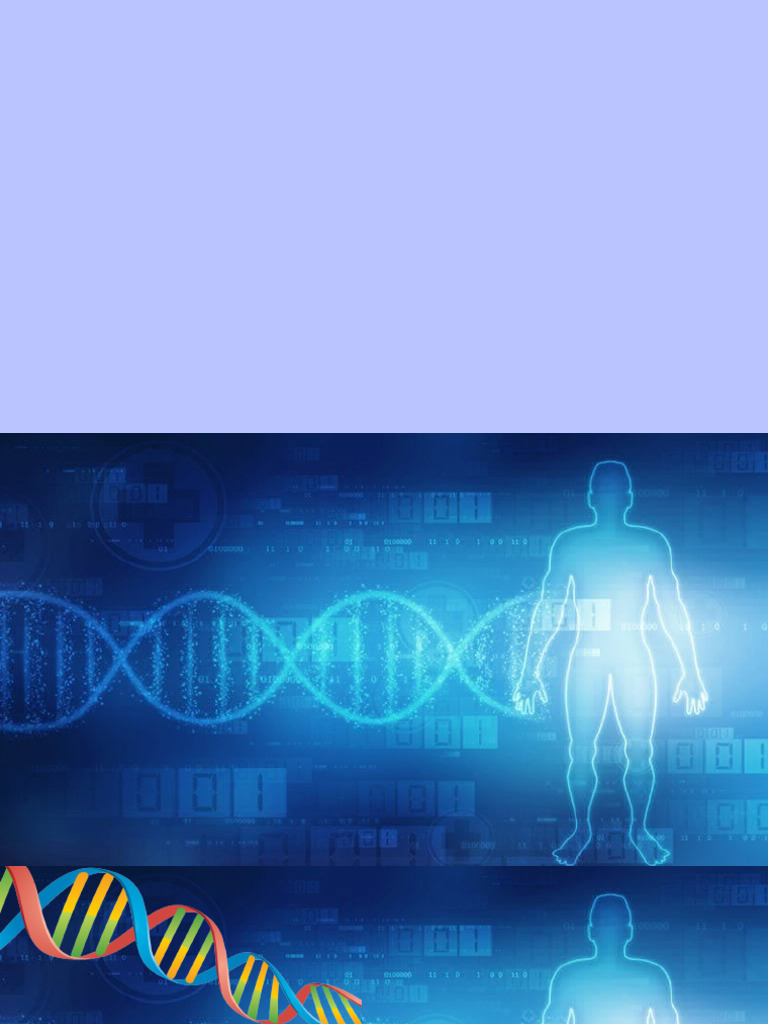 Understanding Chromosomes and Genetics | PDF | Chromosome | Genetics