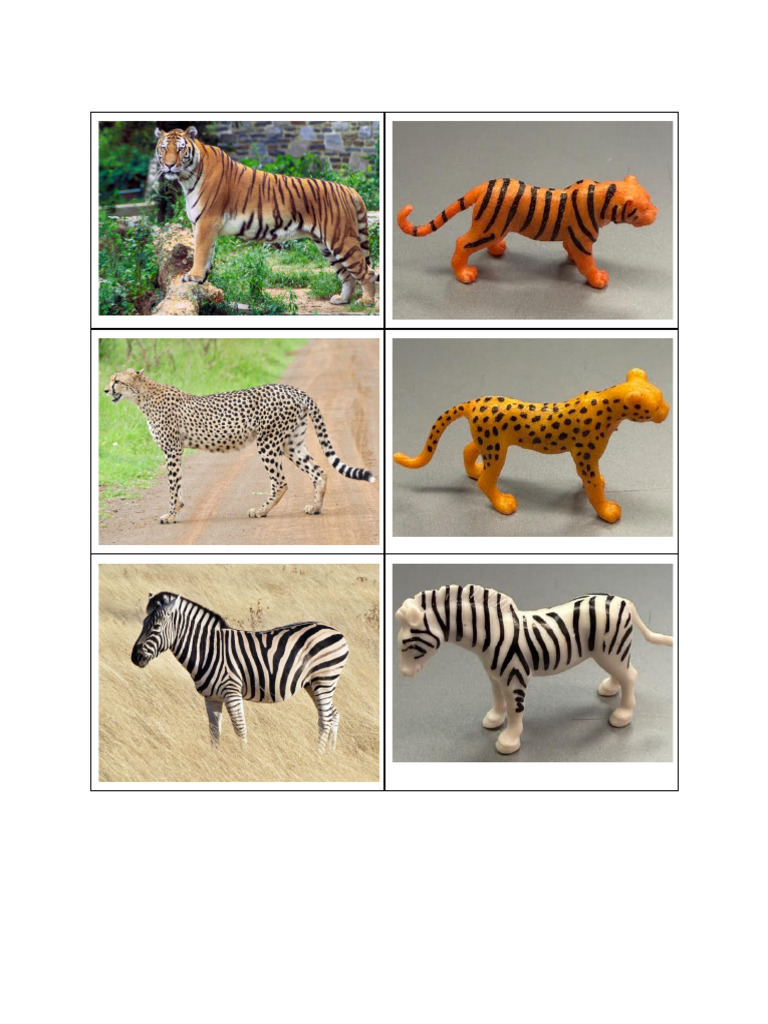Non Identical Matching Animals 2D - 2D | PDF