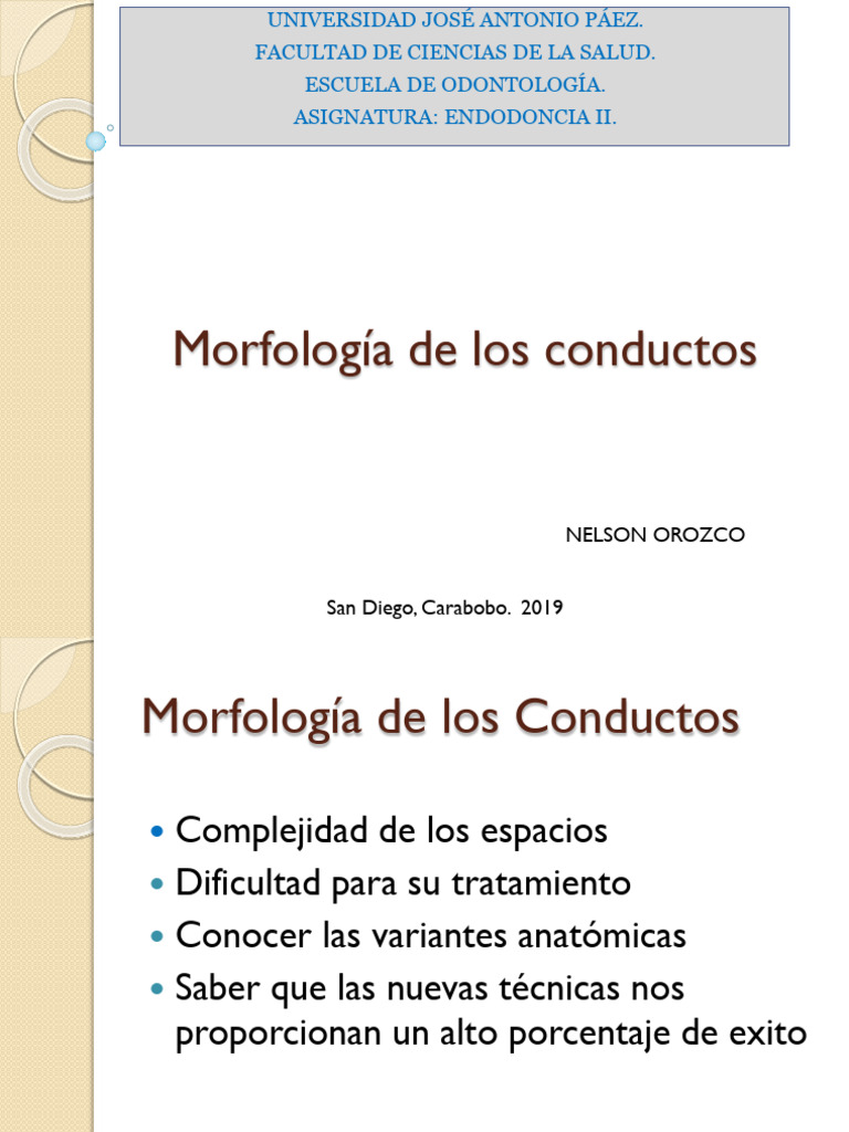Morfologia de Los Conductos | PDF