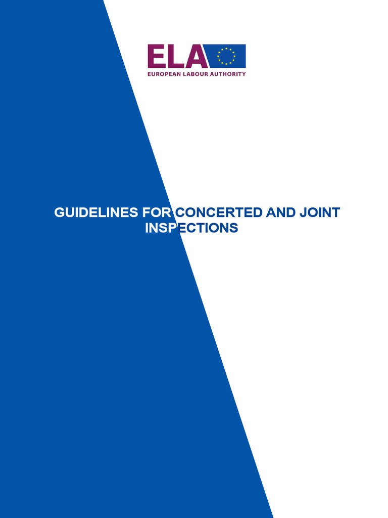 Guidelines for Concerted Joint Inspections | PDF | Regulatory ...