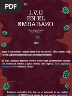 ACE Scanner - 2025 - 11 - 05 | PDF