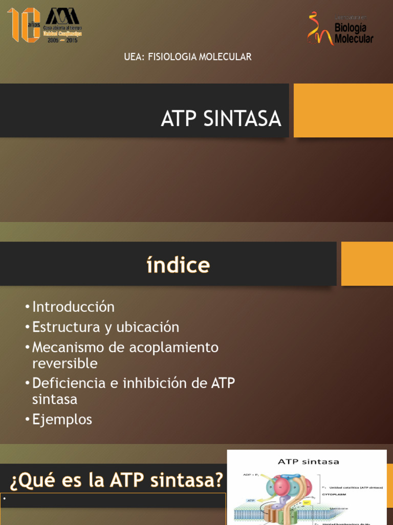 Estructura y función de la ATP sintasa | PDF | Trifosfato de adenosina ...