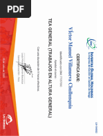 Trabajos en Altura Certificado | PDF