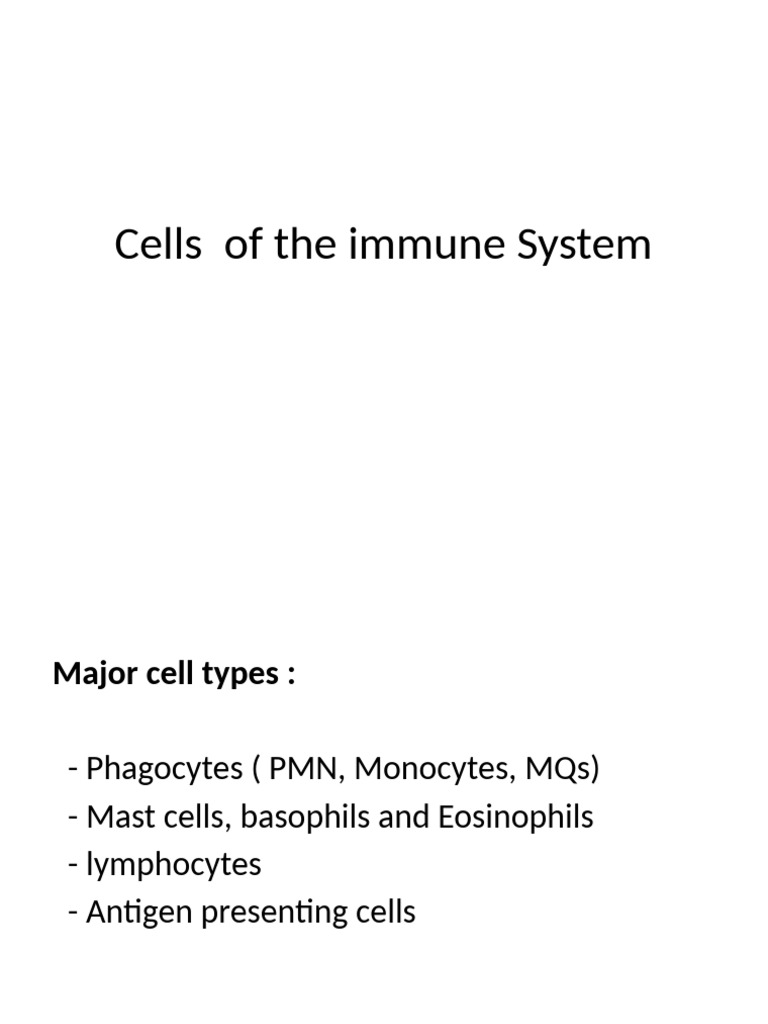 Basic - Cells of The Immune System | PDF | Immune System | T Cell