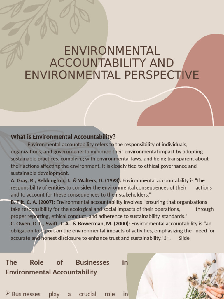 Environmental Accountability Overview | PDF | Sustainability ...