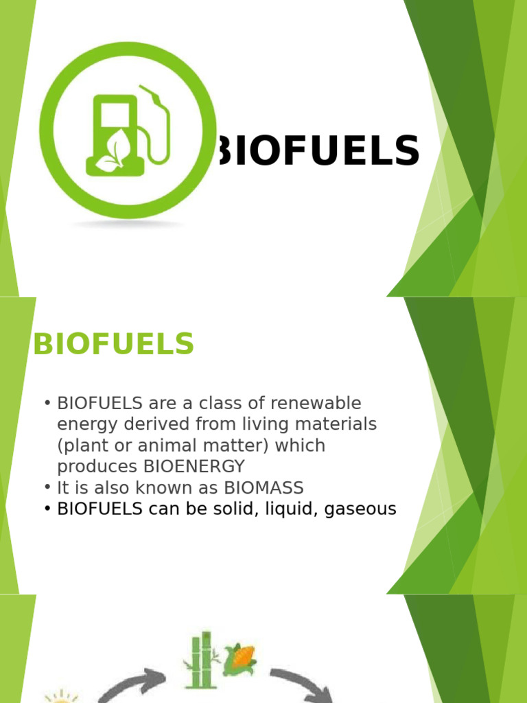 Module 4 Bio Fuels - PPT 20241007 093416 0000 | PDF