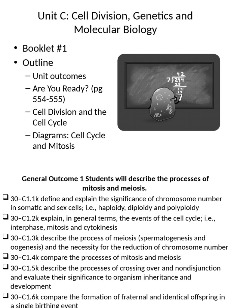Cell Cycle and Mitosis SC 2015 | PDF | Ploidy | Chromosome