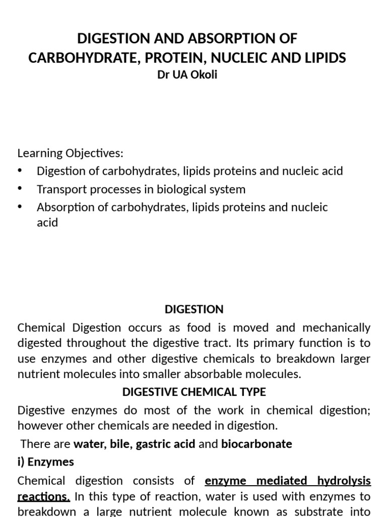 Digestion and Absorption 2 Student Copy | PDF | Digestion | Pancreas