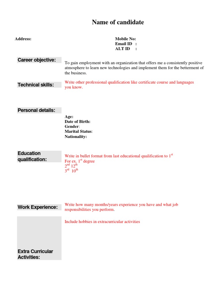 Resume Format Template in PDF | PDF