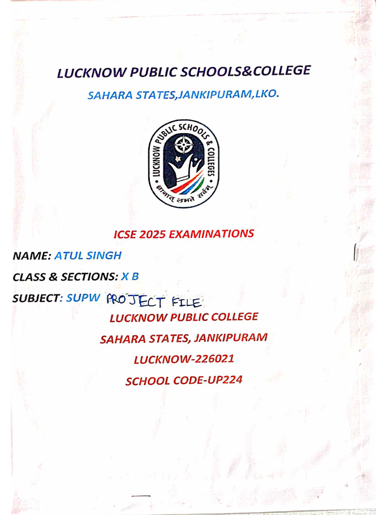 Supw Activity Report Project File, Session 2024-25 | PDF