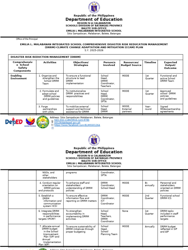 Drrm Action Plan_2025 | PDF | Emergency Management | Disaster Risk Reduction