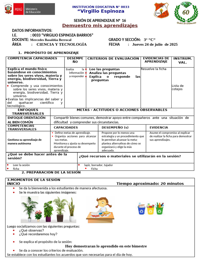 SESION DE 24 de julio Cytec | PDF | Aprendizaje | Evaluación