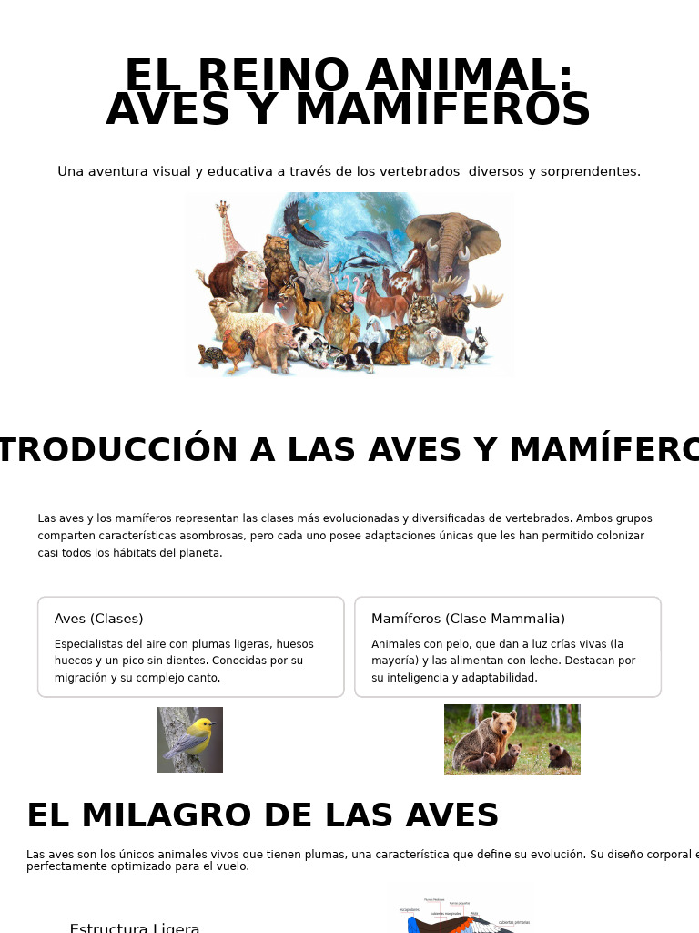 El Reino Animal Aves y Mamiferos | PDF | Mamíferos | Aves