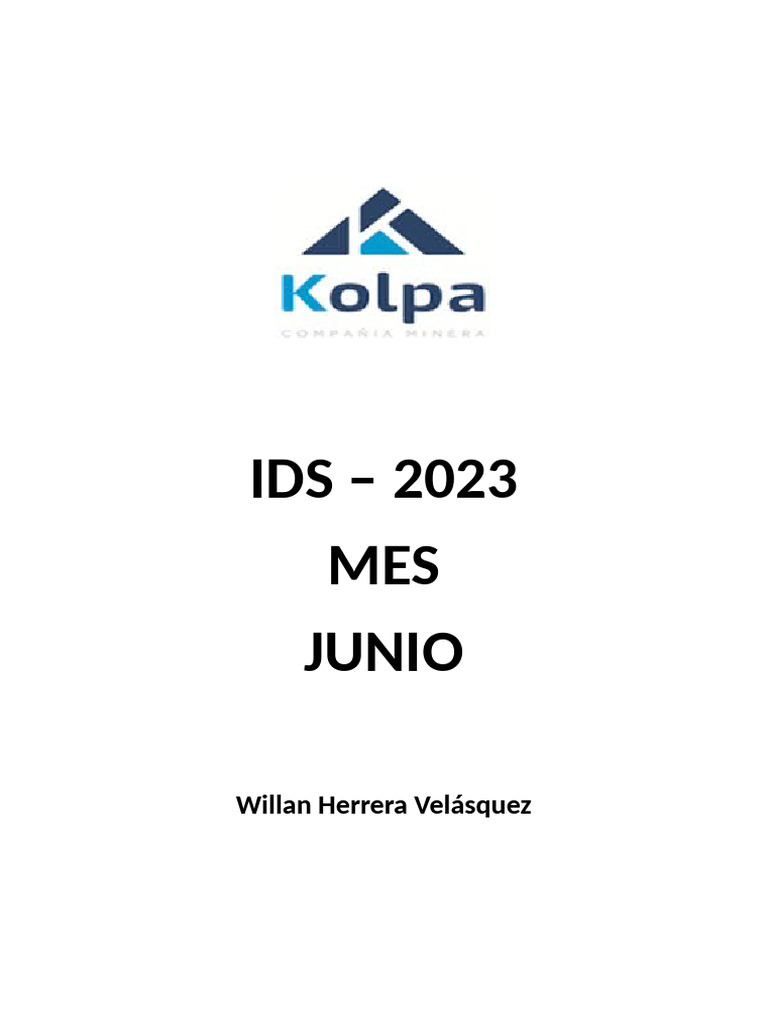 IDS 2023: Informe Mensual Completo | PDF