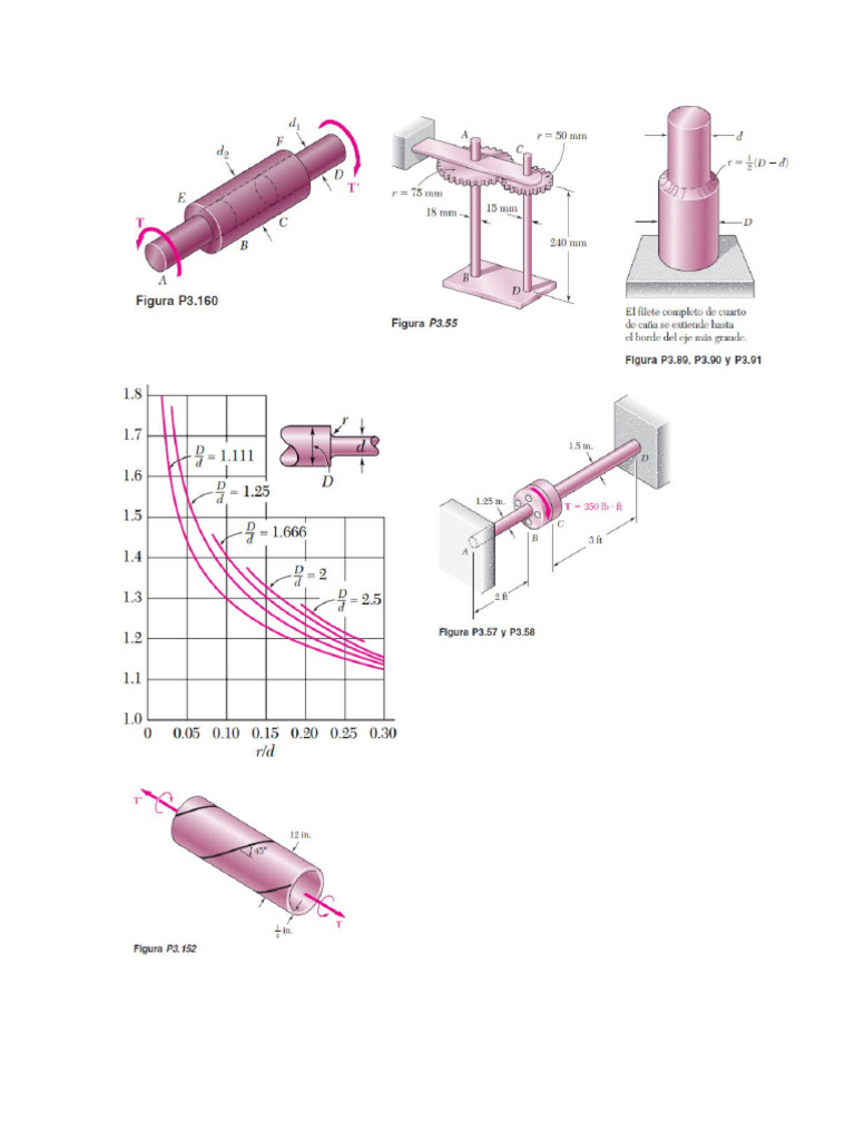 Imagenes Torsion 3 | PDF