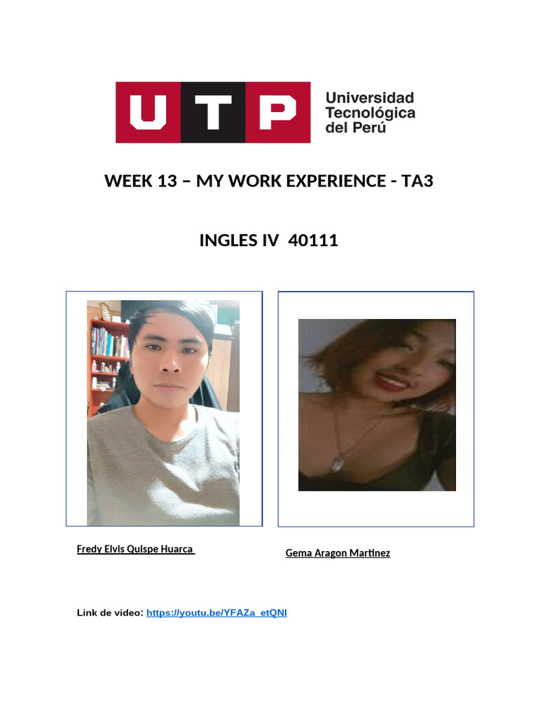 Work Experience Insights: Gema & Elvis | PDF