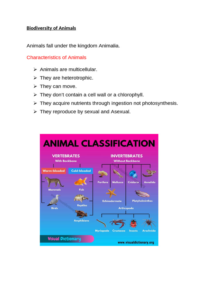 Biodiversity of Animals | PDF | Biology | Zoology