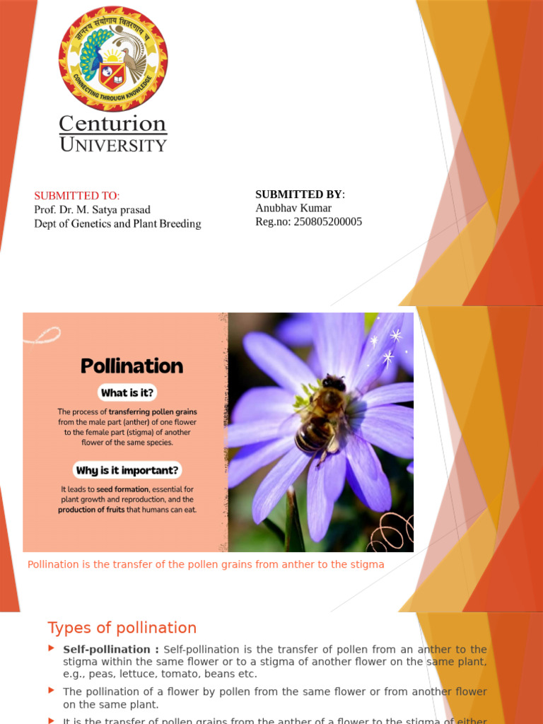 Pollination | PDF | Pollination | Flowers
