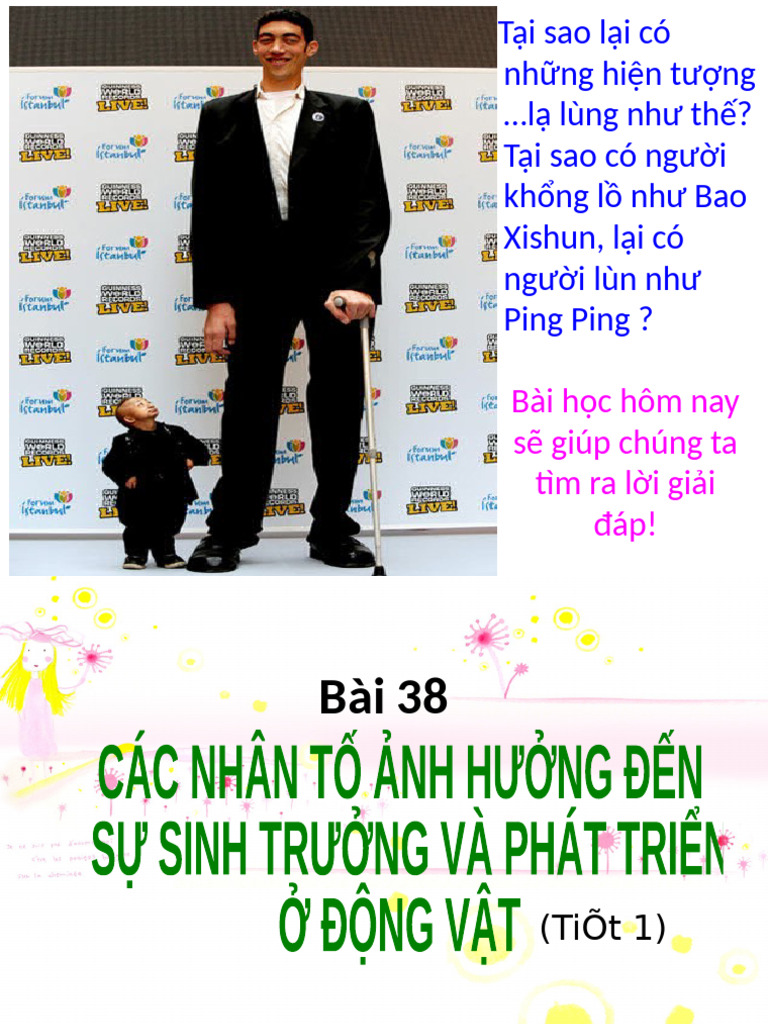 Bai 38 Cac Nhan To Anh Huong Den Sinh Truong Va Phat Trien o Dong Vat | PDF