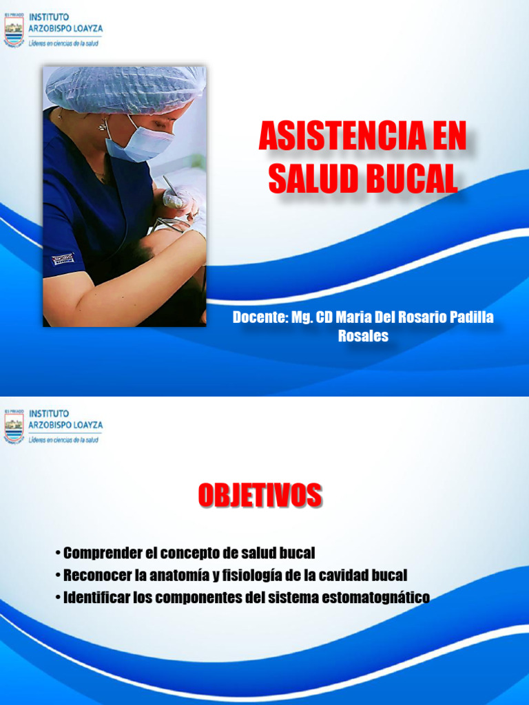 Sesion Aprendizaje Salud Bucal | PDF | Diente humano | Odontología
