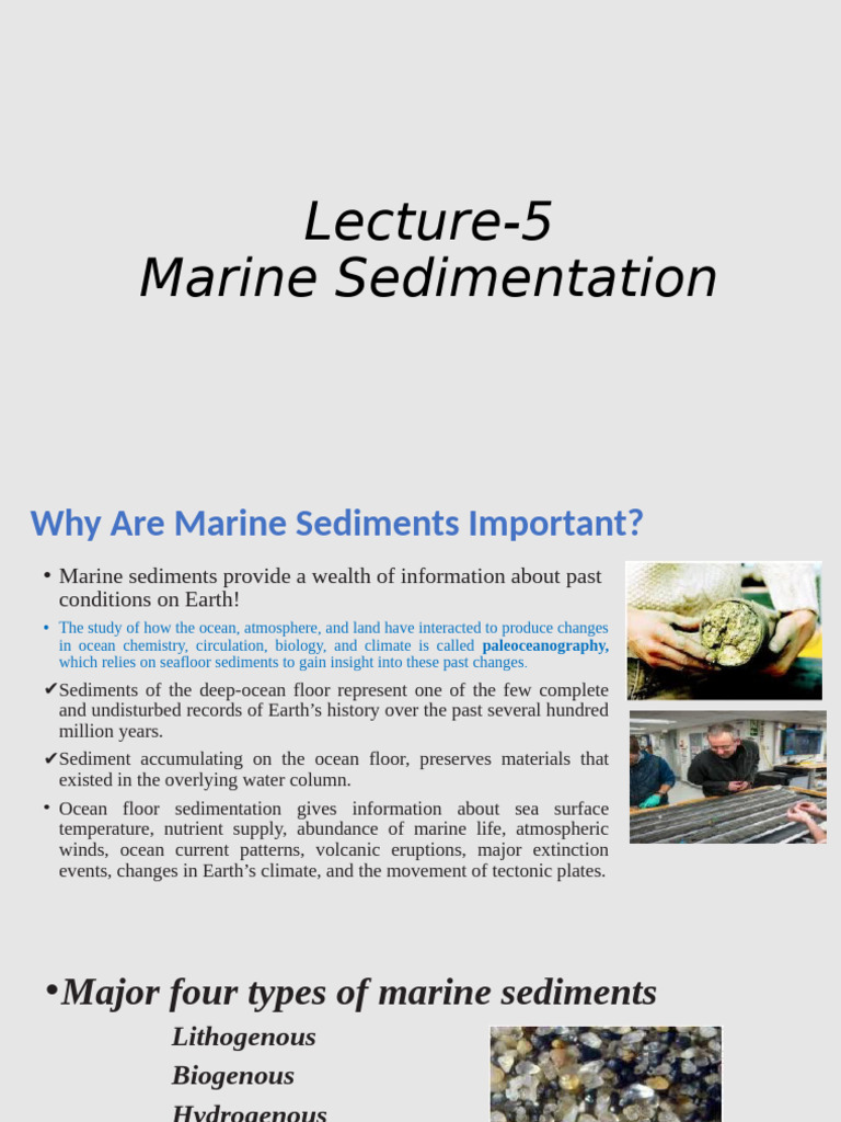 303 Lec 5 Marine Sedimentation | PDF | Seabed | Limestone