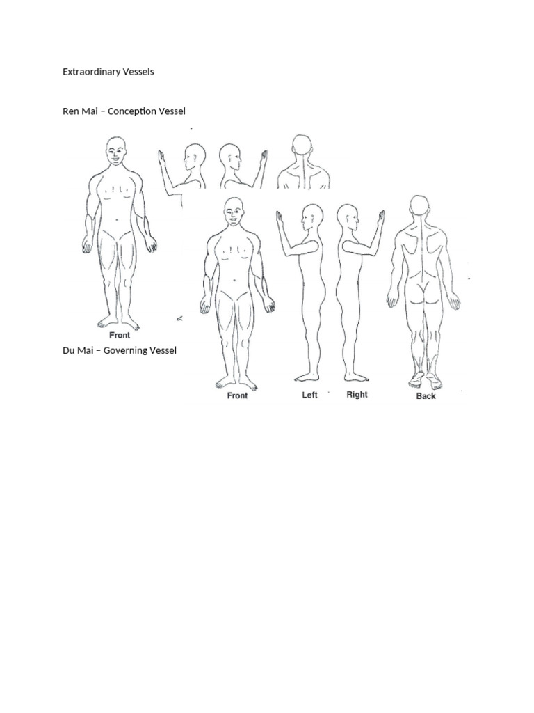 Extraordinary Vessels, Drawing Exercise | PDF