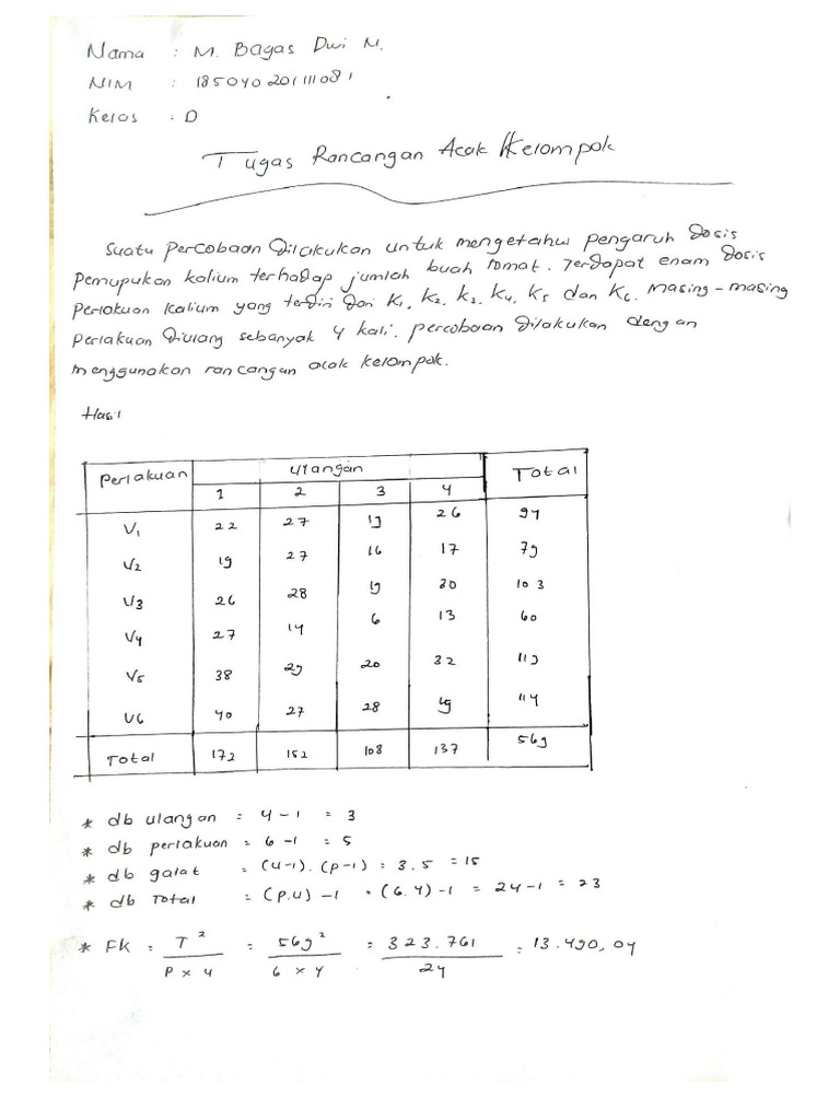 D Muhammad Bagas Dwi N. 185040201111081 RAK | PDF