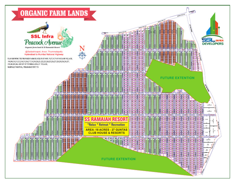 SSL Peacock Avenue LAYOUT | PDF