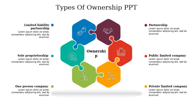 84019-Types of Ownership PPT | PDF