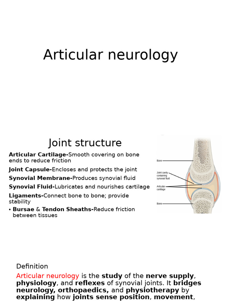 Articular Neurology | PDF | Joint | Nerve
