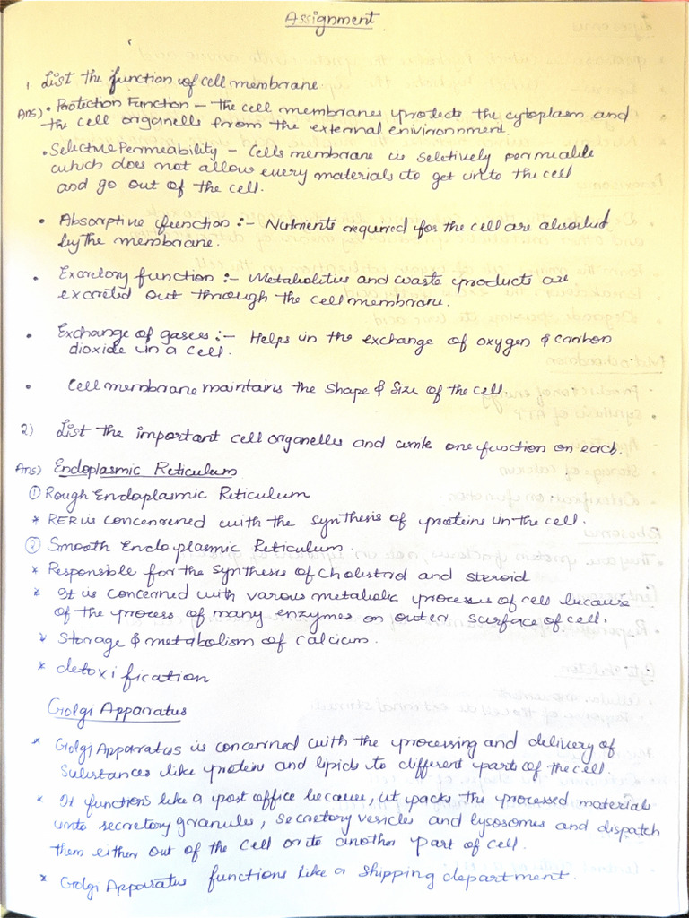 Assignment Cell Membrane and Cell Junctions | PDF