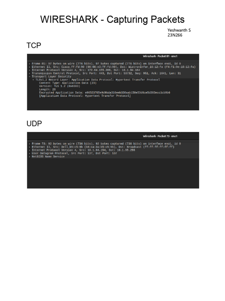 Wireshark Packet Capture Guide | PDF