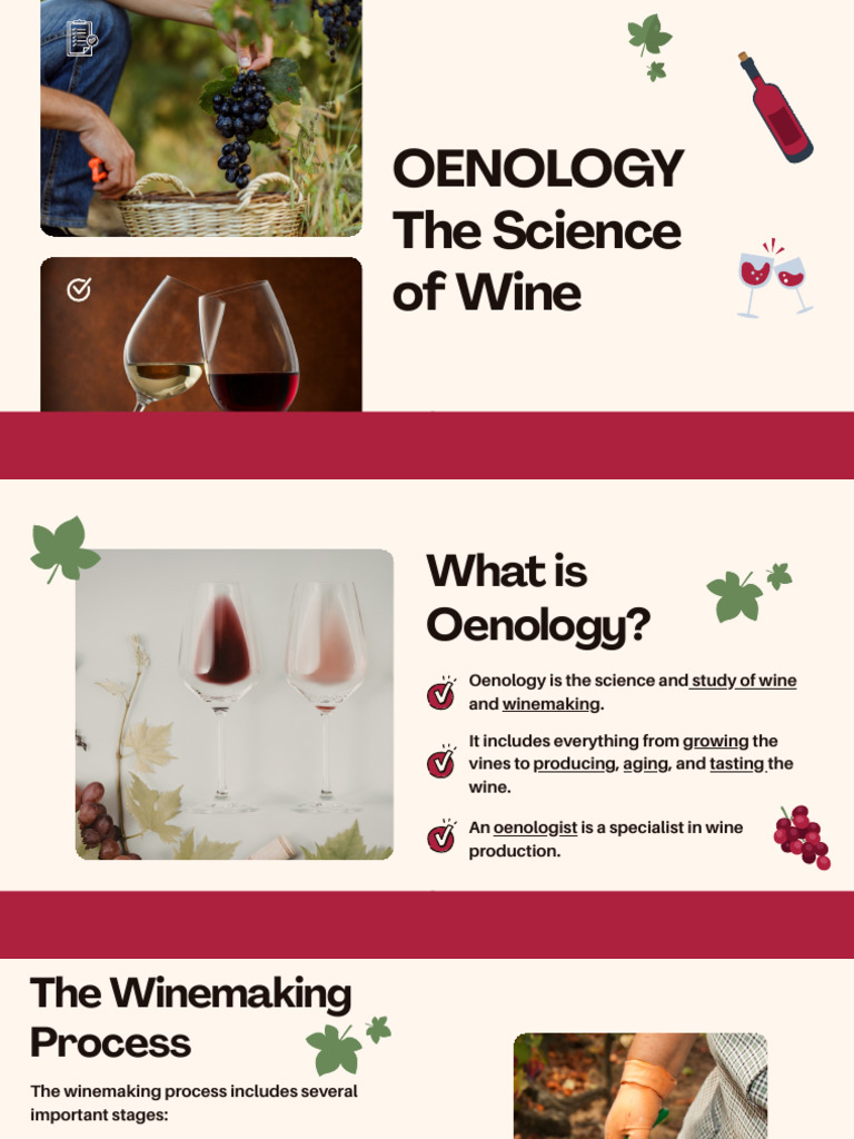 Oen Ology | PDF | Winemaking | Wine