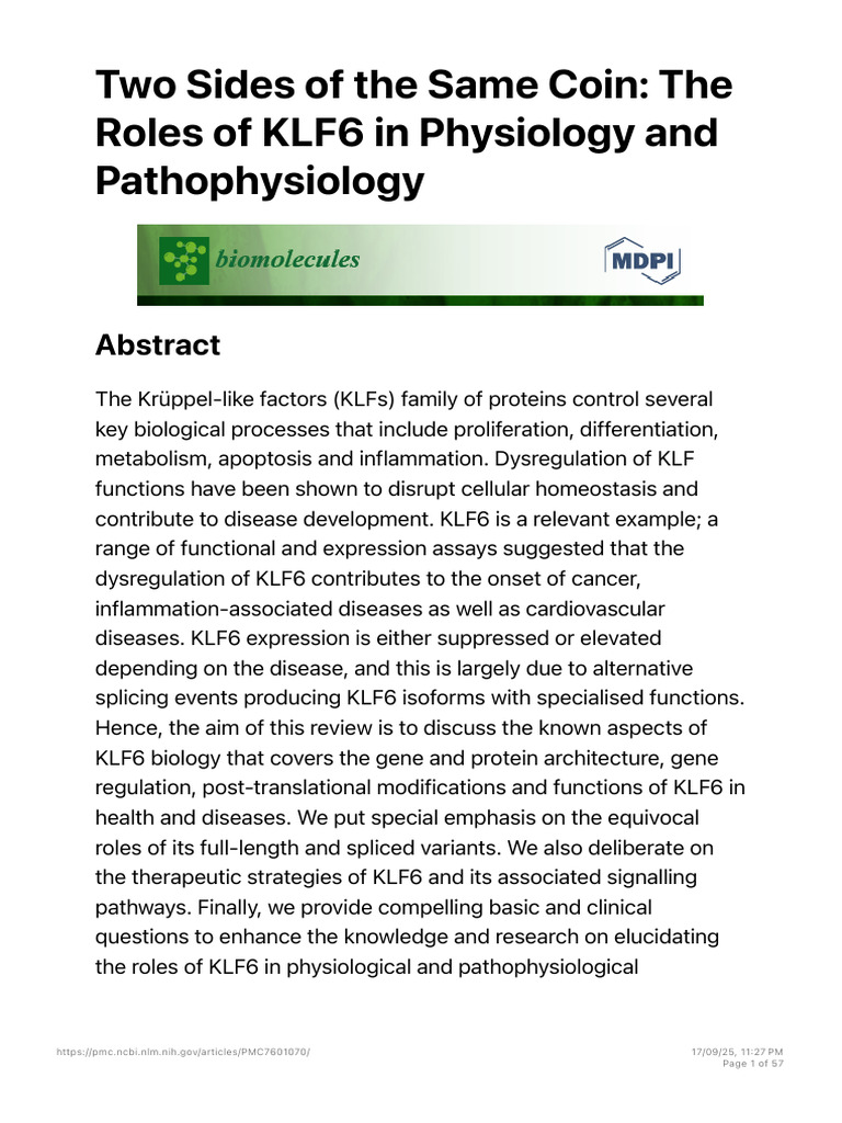 Two Sides of The Same Coin - The Roles of KLF6 in Physiology and ...
