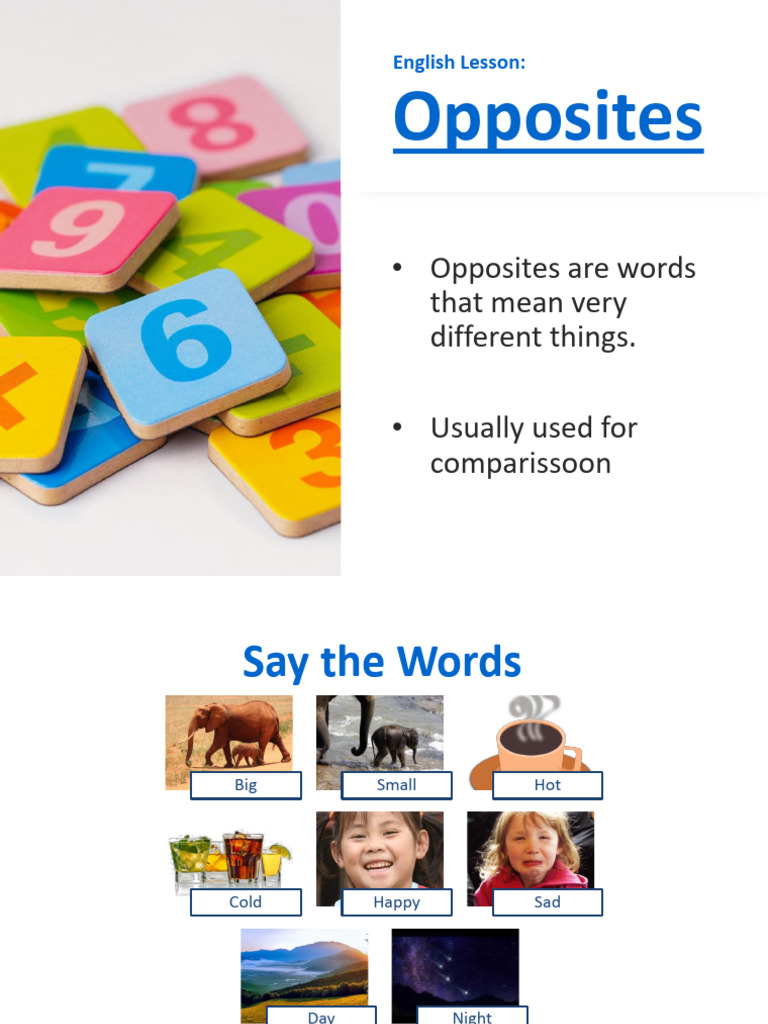 Opposites Lesson Grade1 | PDF