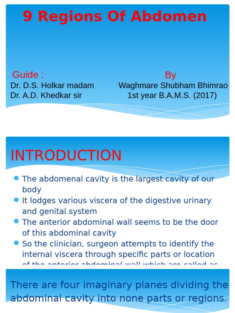 9 Abdominal Regions Explained | PDF | Abdomen | Large Intestine
