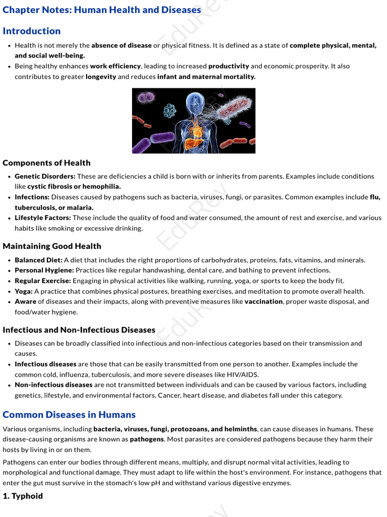 07-Human Health and Diseases | PDF | Lymphatic System | Allergy
