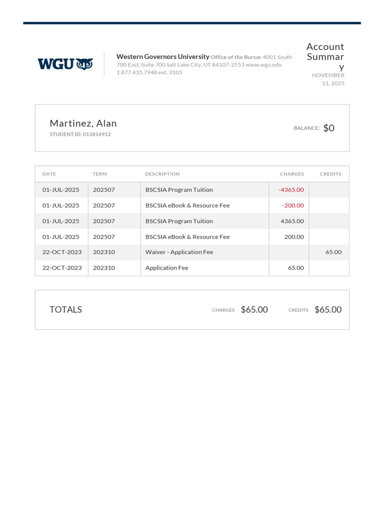 11753489 Cumulative Account Statement | PDF