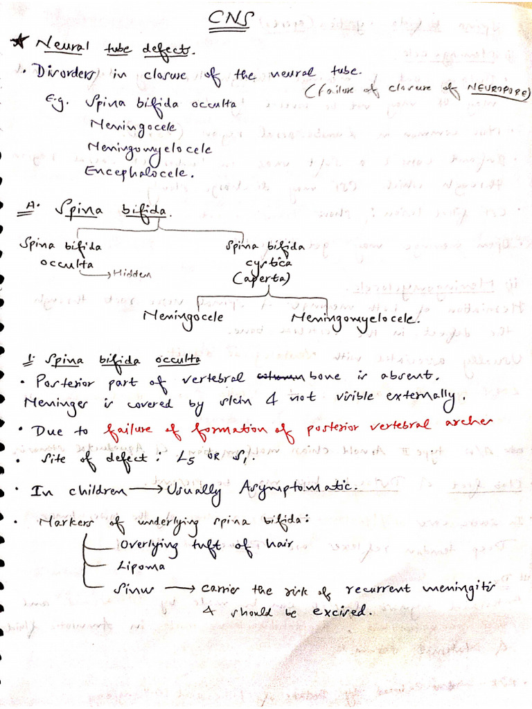 Cns | PDF