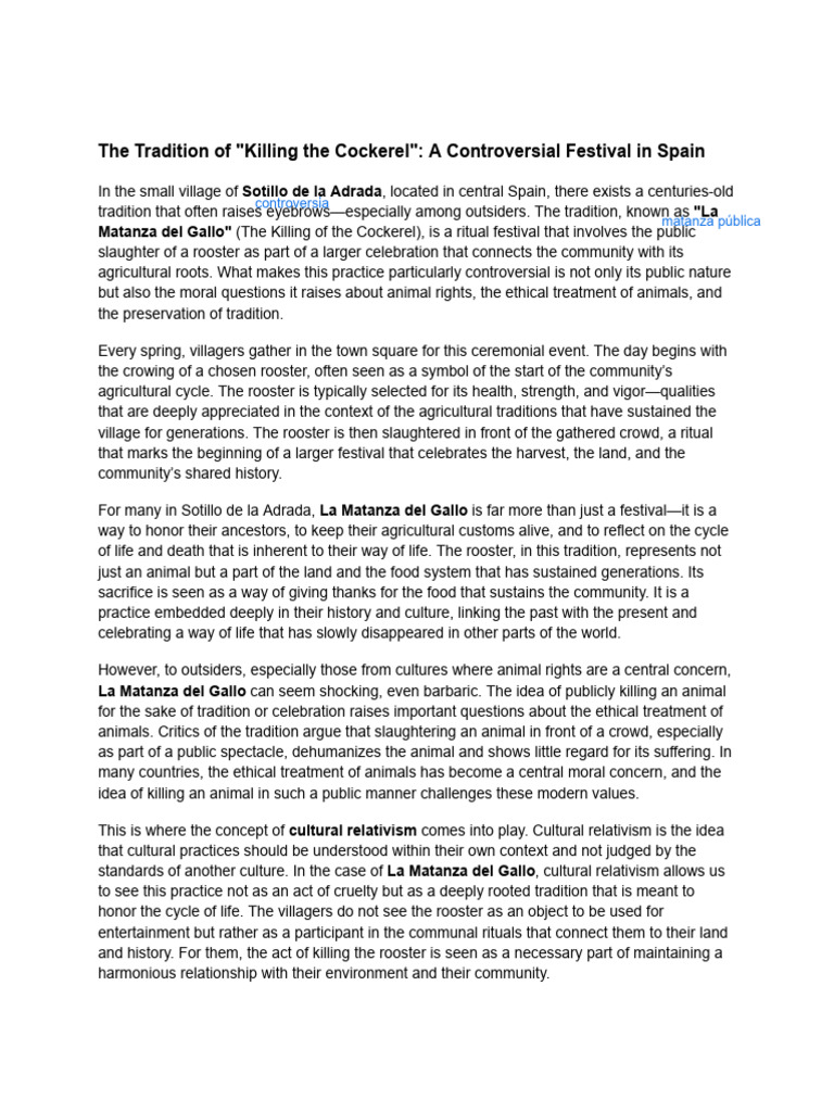 Killing the Cockerel: Spain's Controversial Festival | PDF | Traditions ...