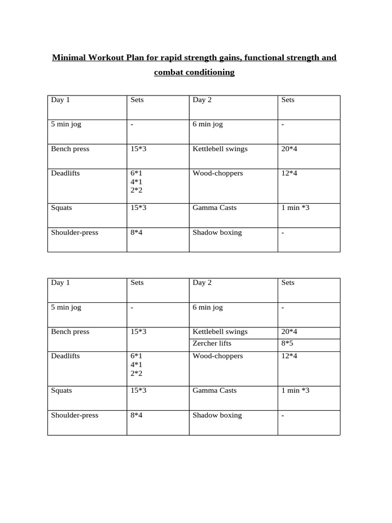 Minimal Workout Plan For Rapid Strength Gains and Combat Conditioning | PDF