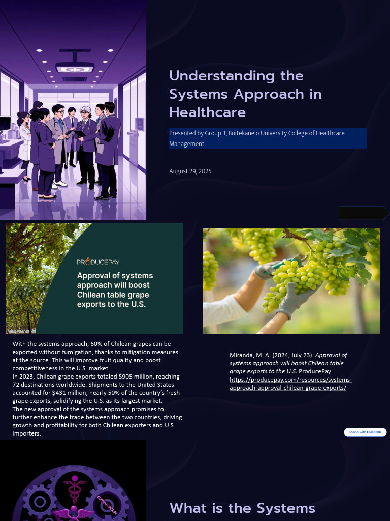 Systems Approach in Healthcare Explained | PDF | Systems Theory | System
