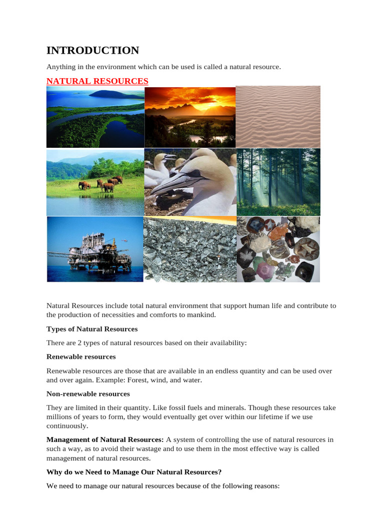 Natural Resources | PDF | Fuels | Petroleum