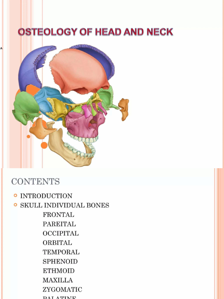 Osteo Head & Neck | PDF