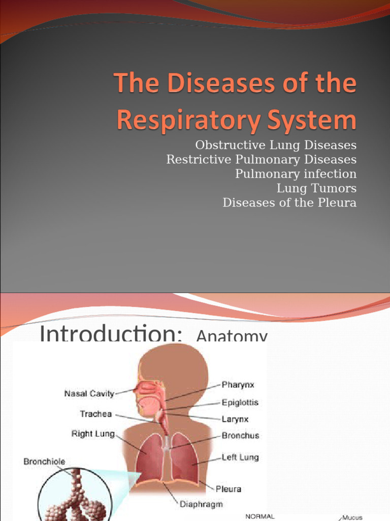 Respiratory Diseases - Obstructive Lung Diseases | PDF | Respiratory ...