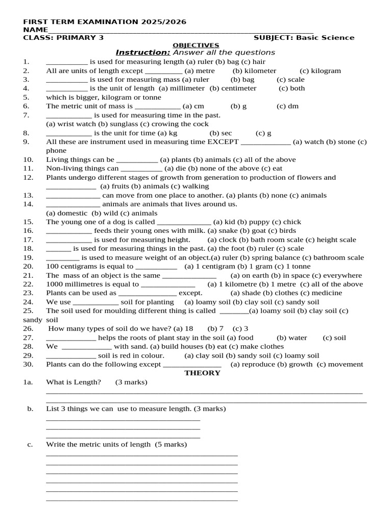 First Term Examination Primary 3 Lead (2025) | PDF | Foods | Clef