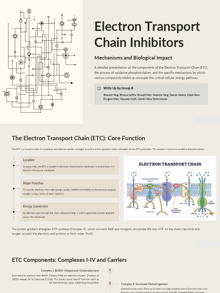 Mechanisms of ETC Inhibitors | PDF | Electron Transport Chain ...