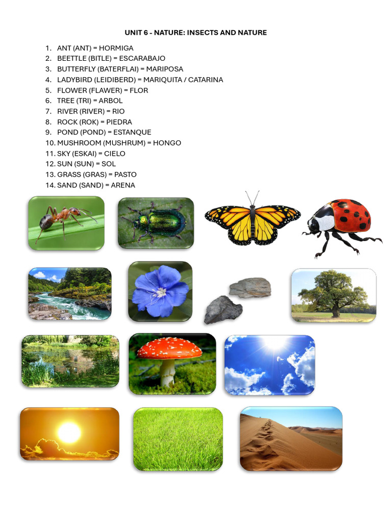 UNIT 6 - Nature - Prep I | PDF