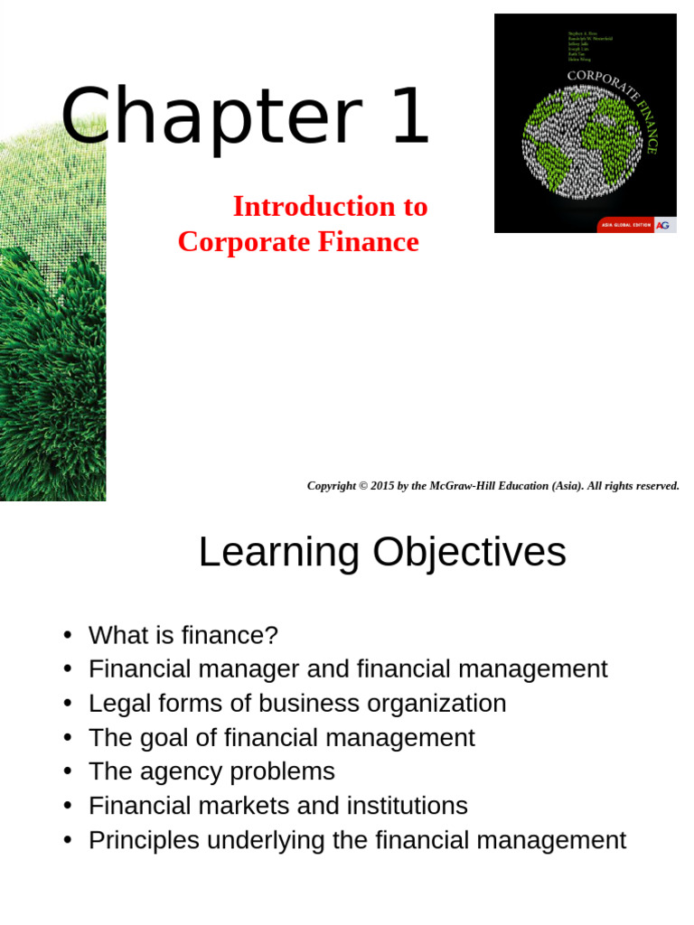 Introduction to Corporate Finance Concepts | PDF | Partnership | Taxes