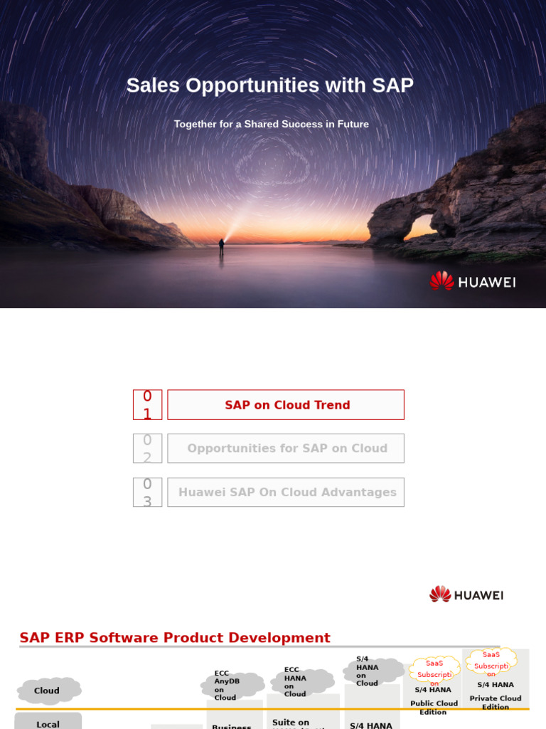 SAP Cloud Migration Opportunities | PDF | Cloud Computing | Computing